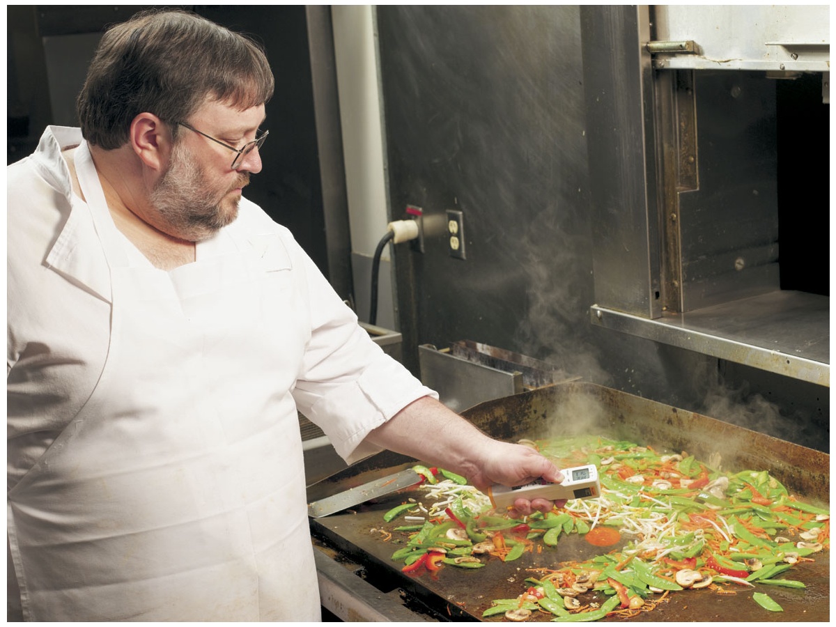 Fluke Food Pro(FP) Plus Gıda Güvenliği Termometresi - Netes Mühendislik