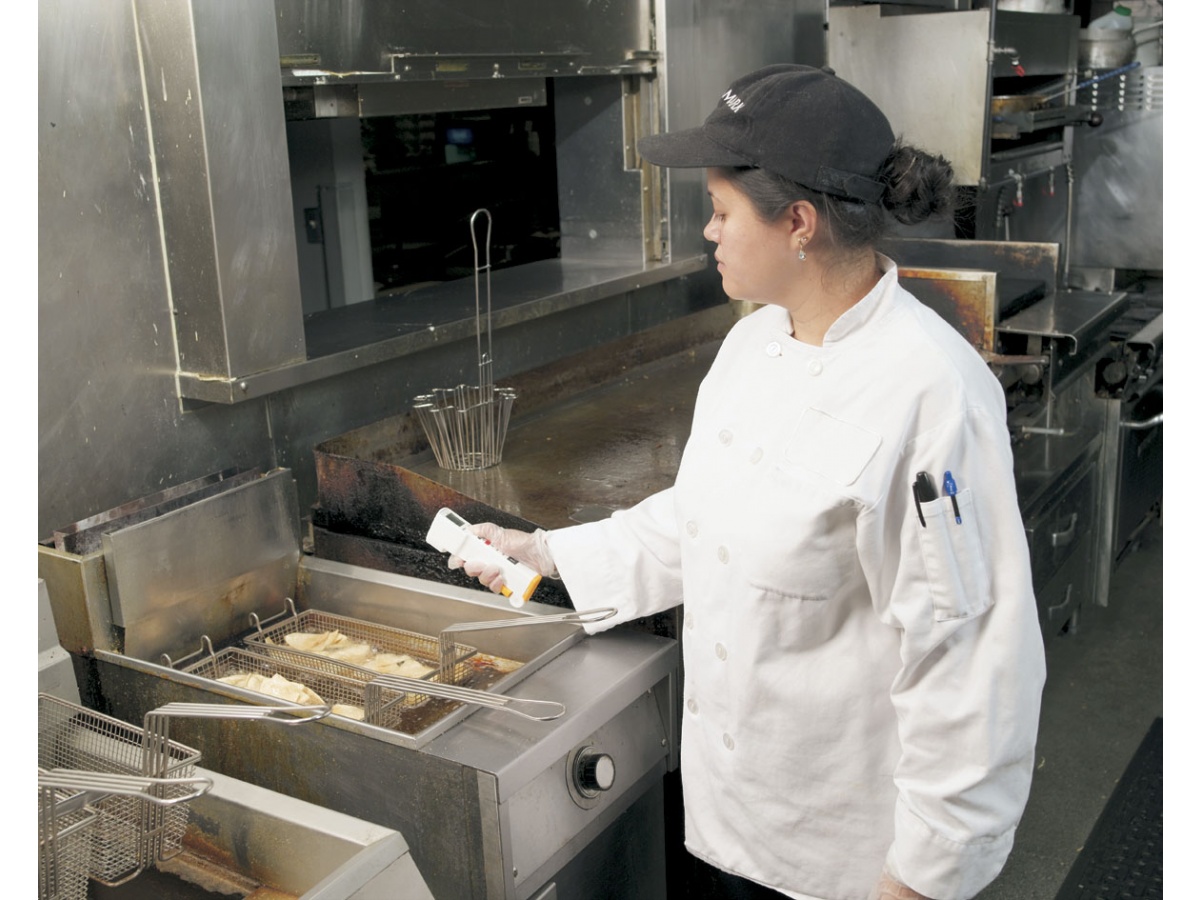 Fluke Food Pro(FP) Plus Gıda Güvenliği Termometresi - Netes Mühendislik